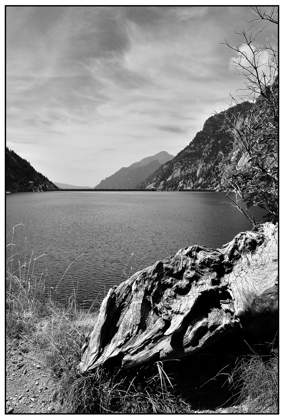 Ventajas del encuadre vertical